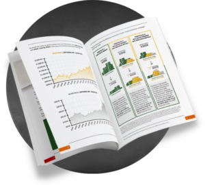 Home – Genesis Gold Group